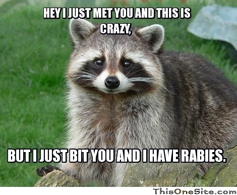 Hey I just met you and this is crazy,... - This One Site